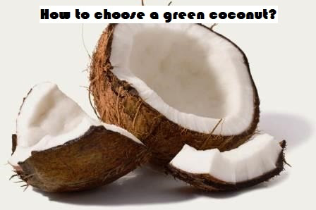 How to choose a green coconut?