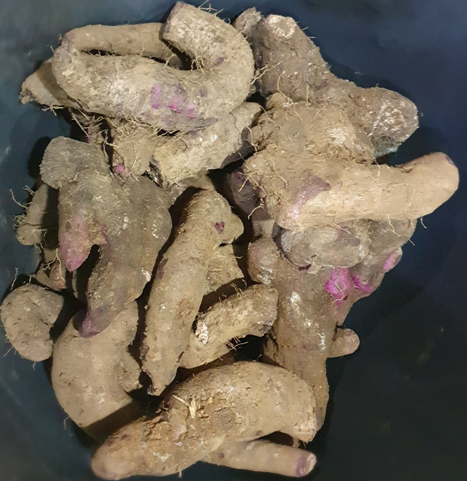 Filipino Halayan (Ube) Recipe