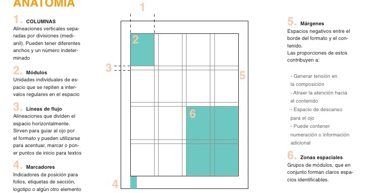 Joaquín Gallardo Guzmán: Anatomía de la retícula.