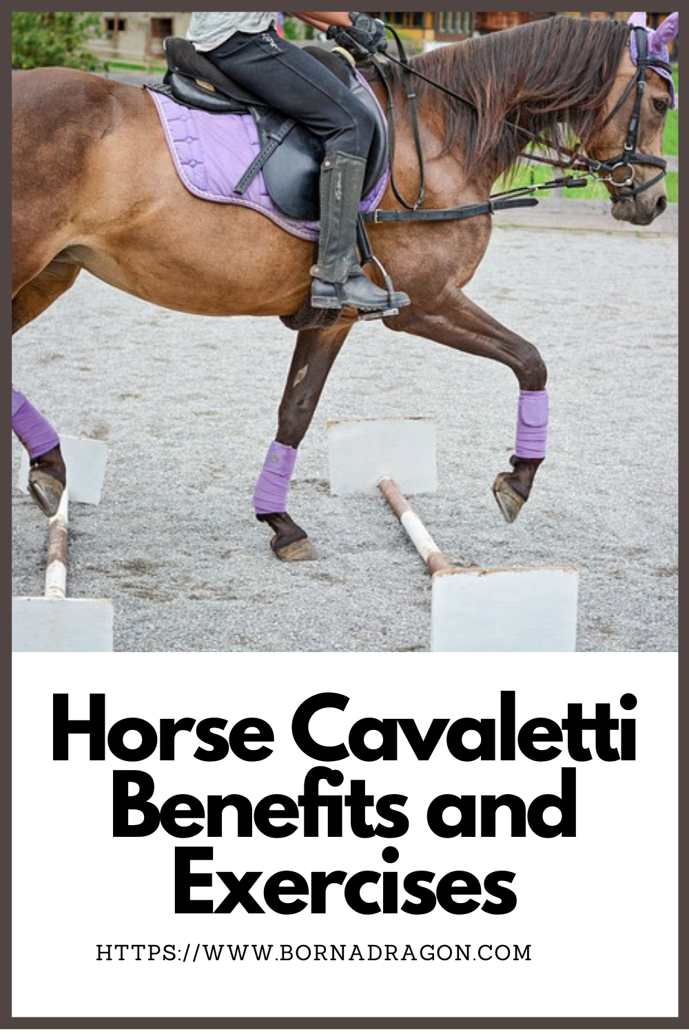 Horse Cavaletti Benefits and Exercises ~ Born a Dragon, Raised a Tiger