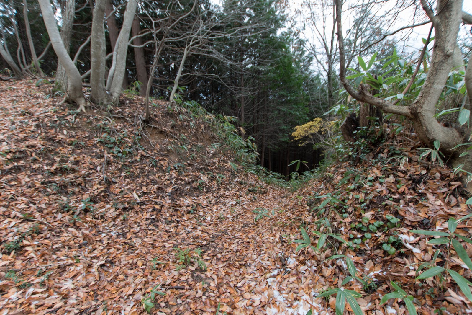 Obasawa Castle -Numerous dry moat defense line toward strong relative ...
