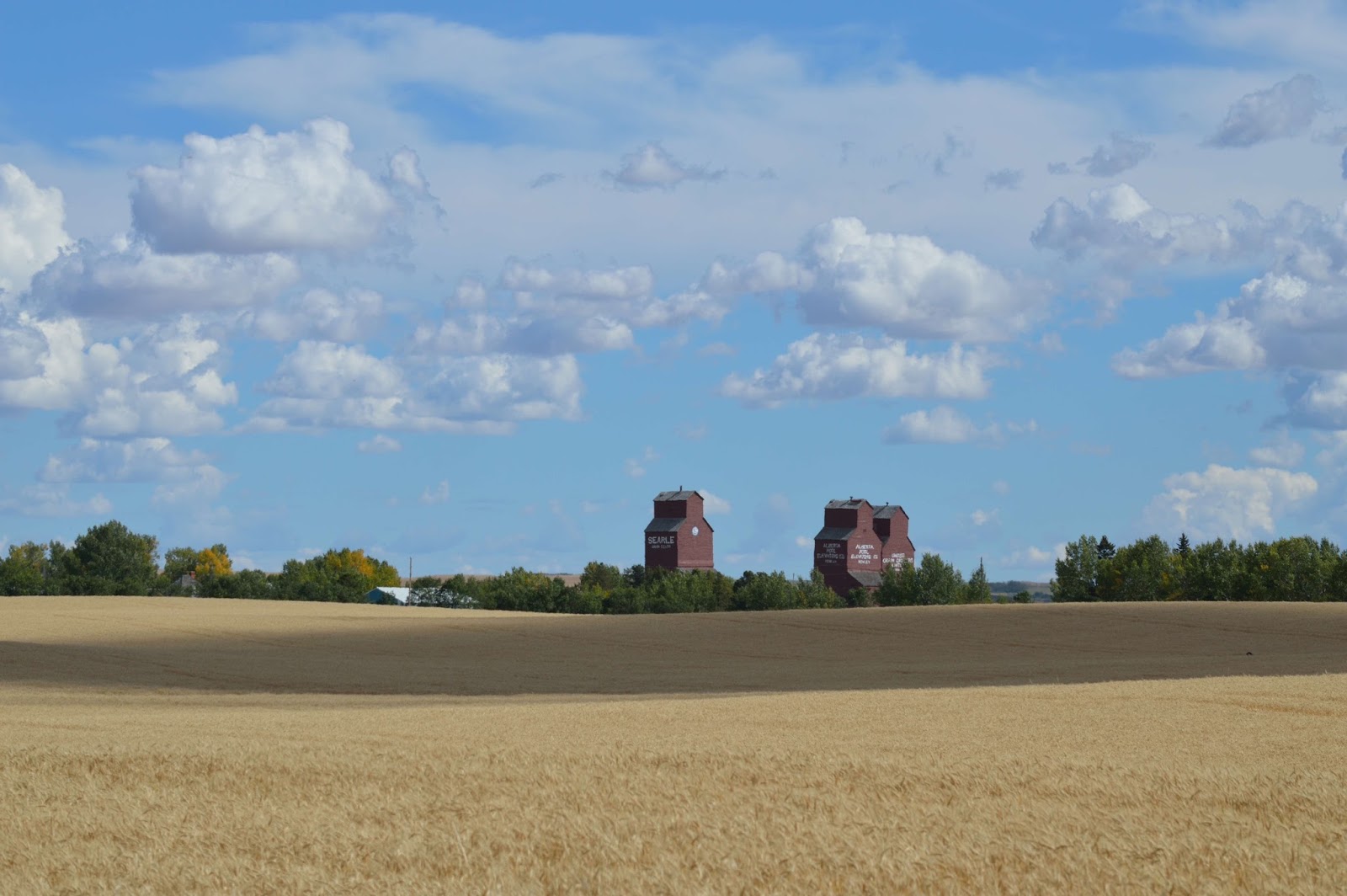 West of the 5th : Rowley