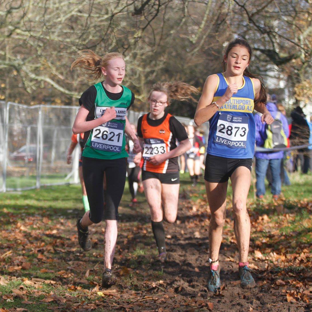 LSARRC News: LSARRC News 28th November 2017