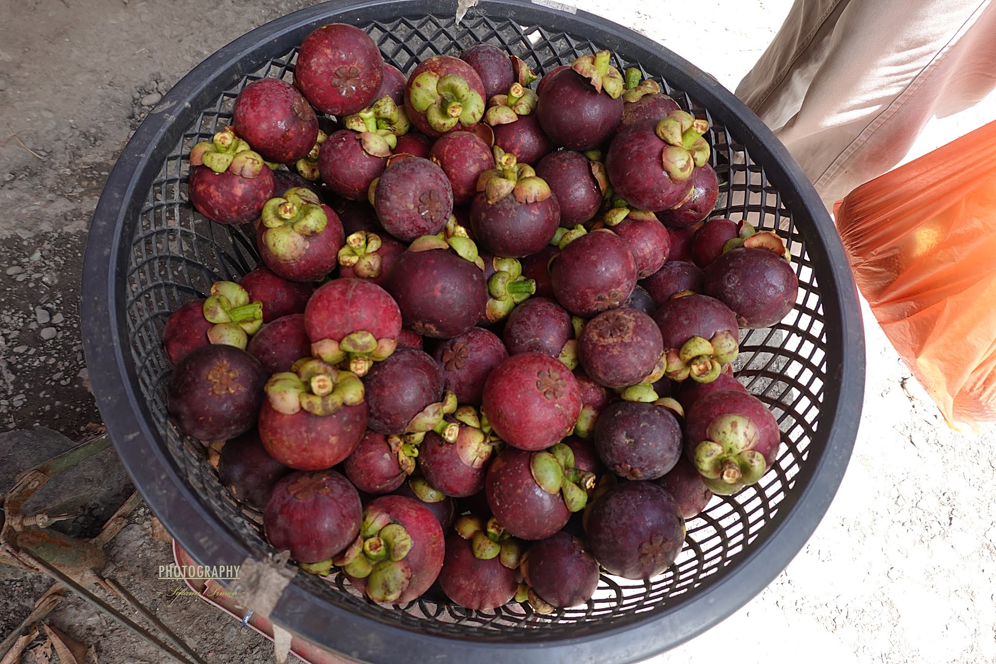 Buah Bundu @ Belunu @ Binjai, Bambangan & Durian Merah - Amie's Little ...