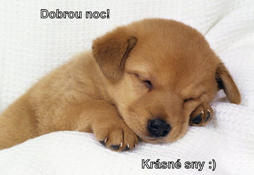 Plavčíci z Lukášky: Pohádka na dobrou noc