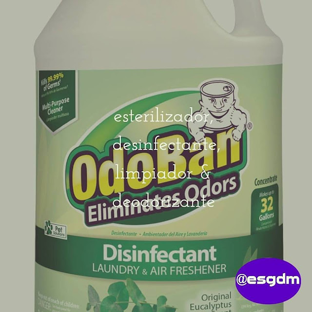 disponibilidad y actualización de Odoban