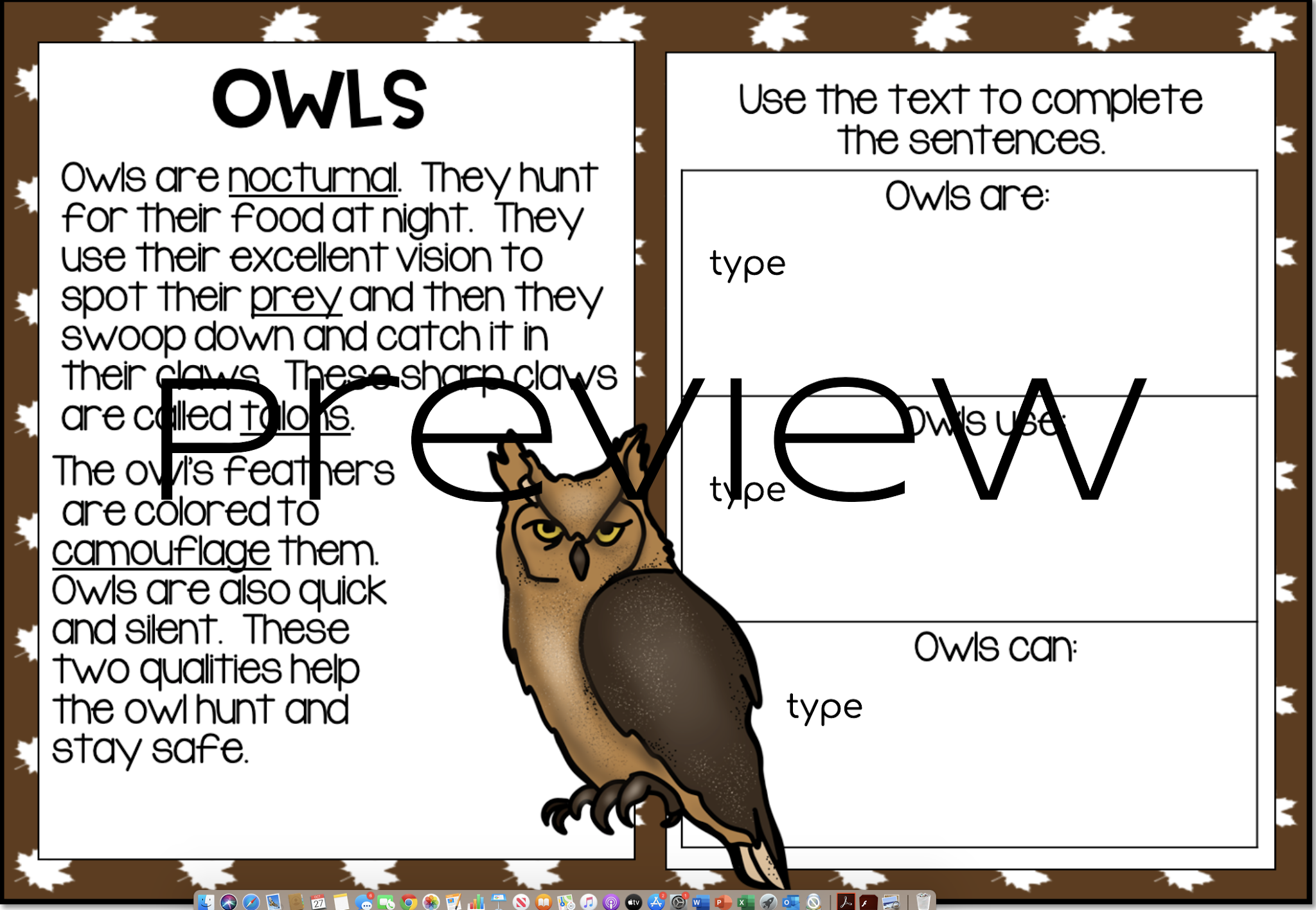 1st Grade Hip Hip Hooray!: Using informational text to research owls!