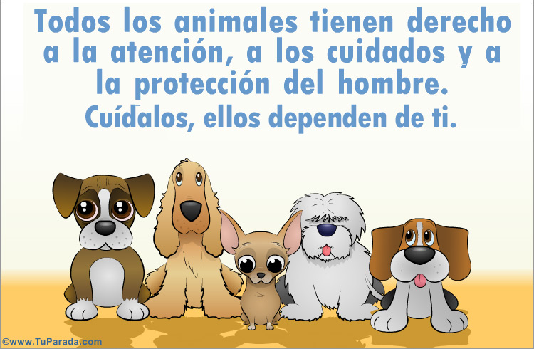 Cuidado de los animales: ¡Ayúdanos a cuidar a los animales, y mejoremos ...