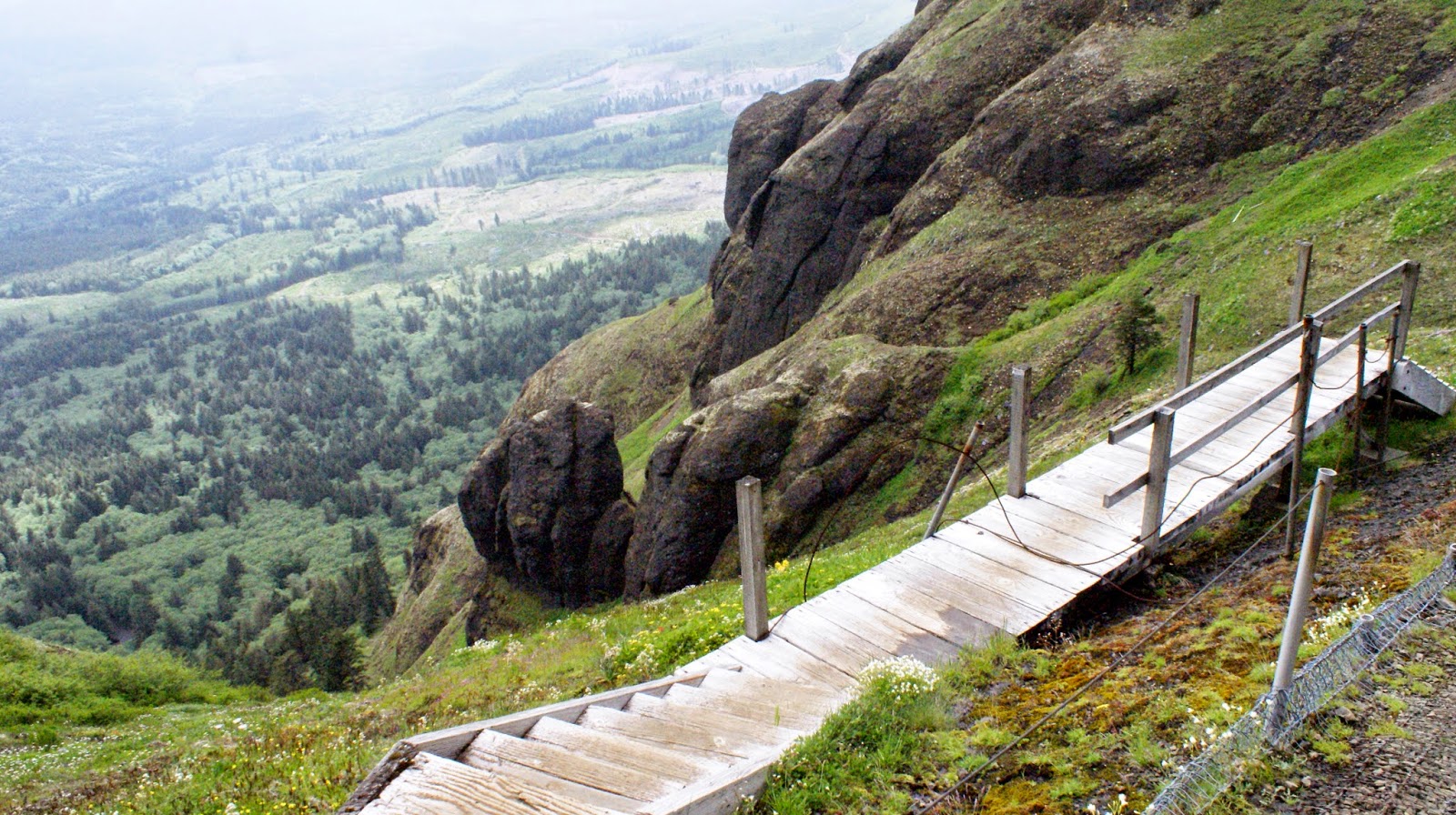 TrailMixxx: Saddle Mountain State Park- Saddle, Oregon