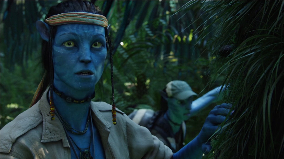 AVATAR - VERSÃO ESTENDIDA (DUAL ÁUDIO / 1080P) – 2009
