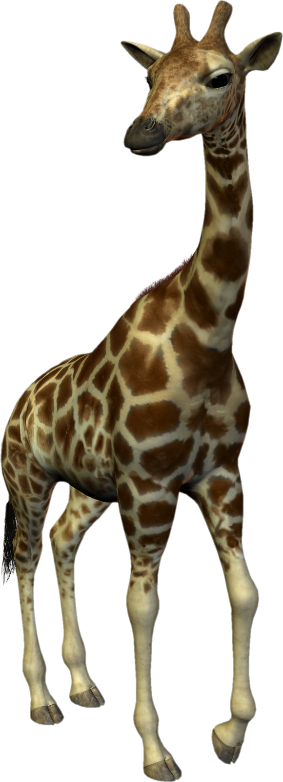 grafika-gify-kartki: . Zwierzęta: Żyrafa - Giraffe.png,gif