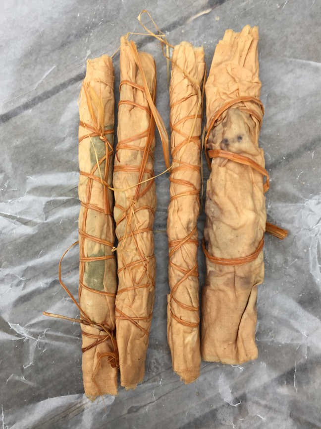 Eco-Artists & Coloring Cloth with Plants