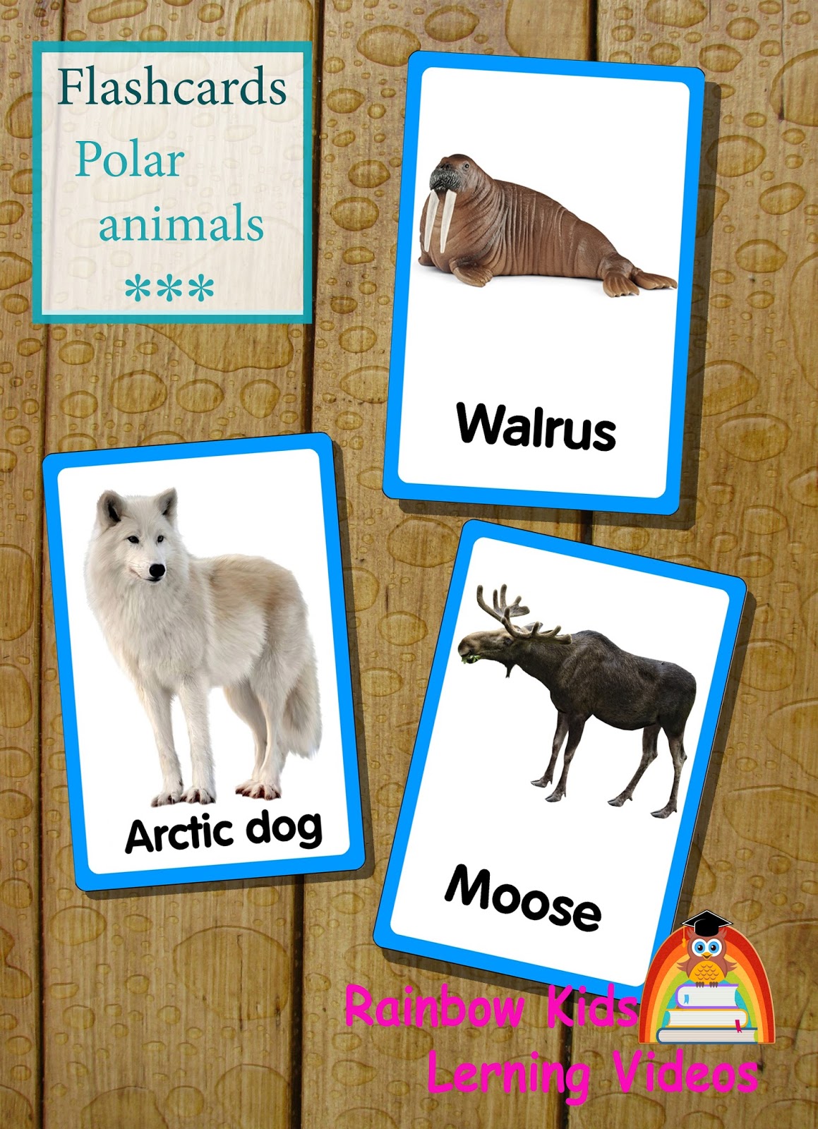 Rainbow Kids Learning Videos: Polar animals flashcards.