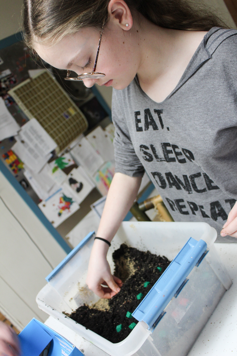 Craft Knife: Homeschool Science: Make a Model Landfill, Fill it with ...