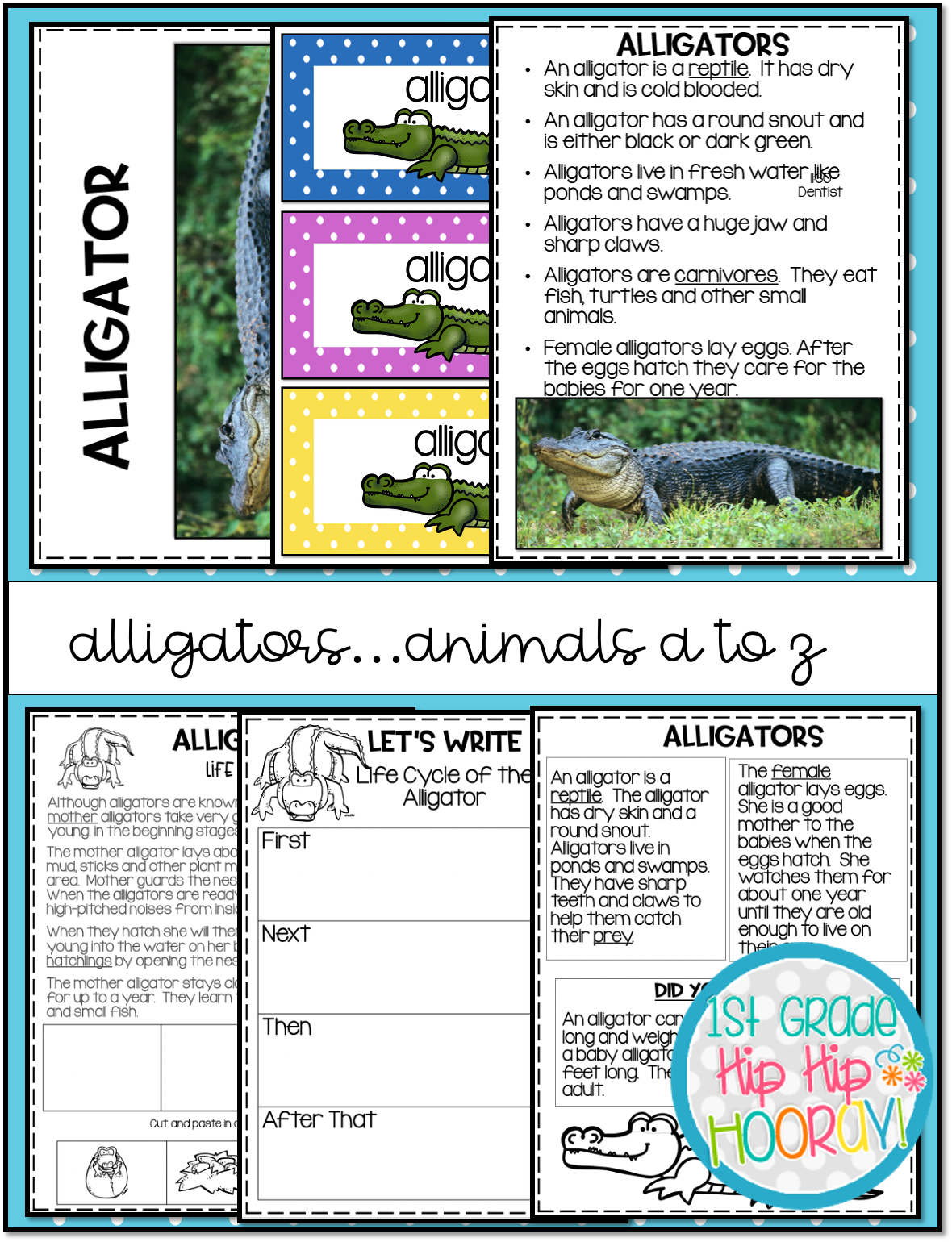 1st Grade Hip Hip Hooray!: Animals A to Z