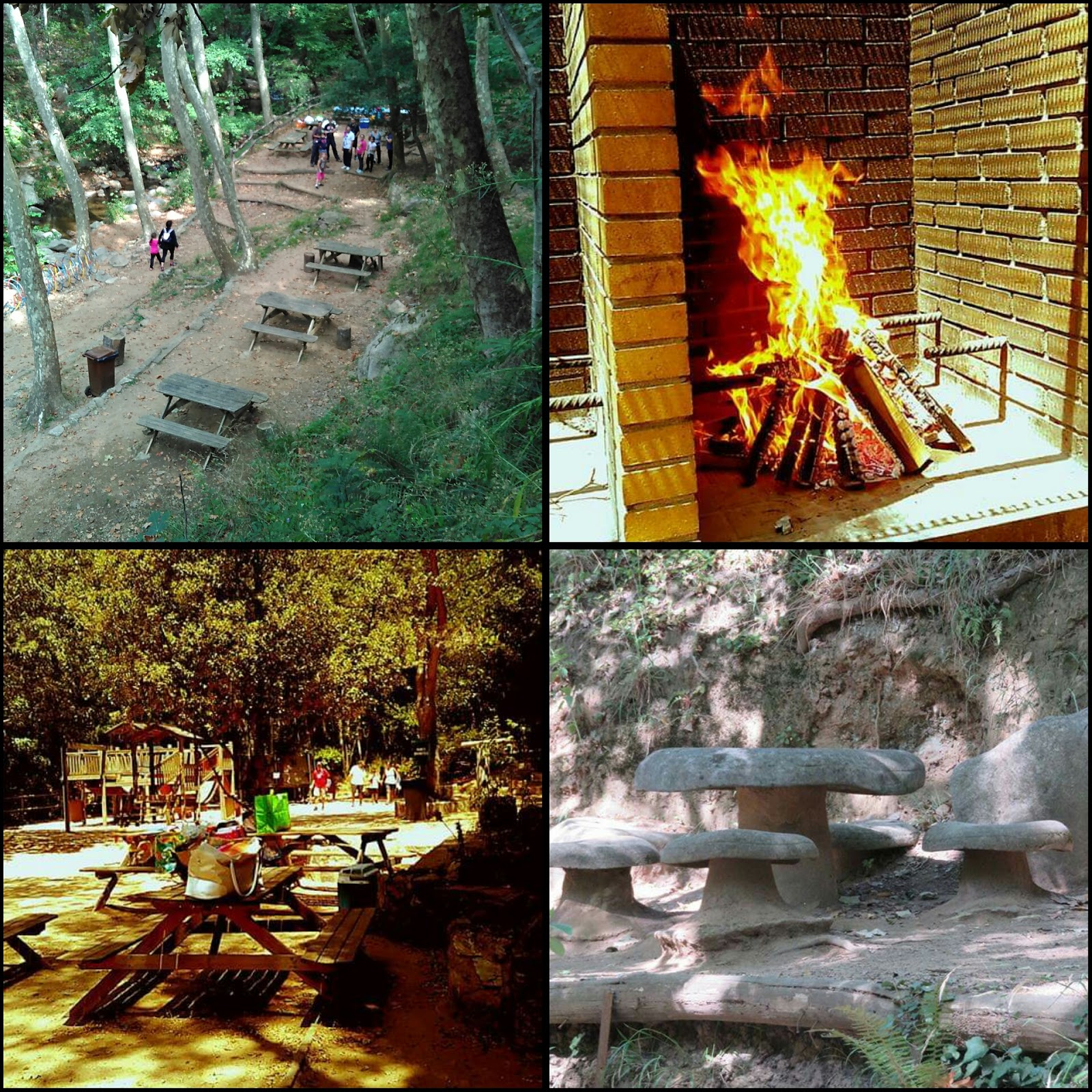 PARC MEDIAMBIENTAL DE GUALBA