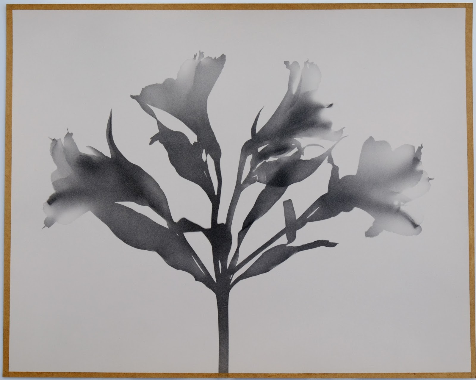 François Canard: ATELIER DE PHOTOGRAMME A LIMA