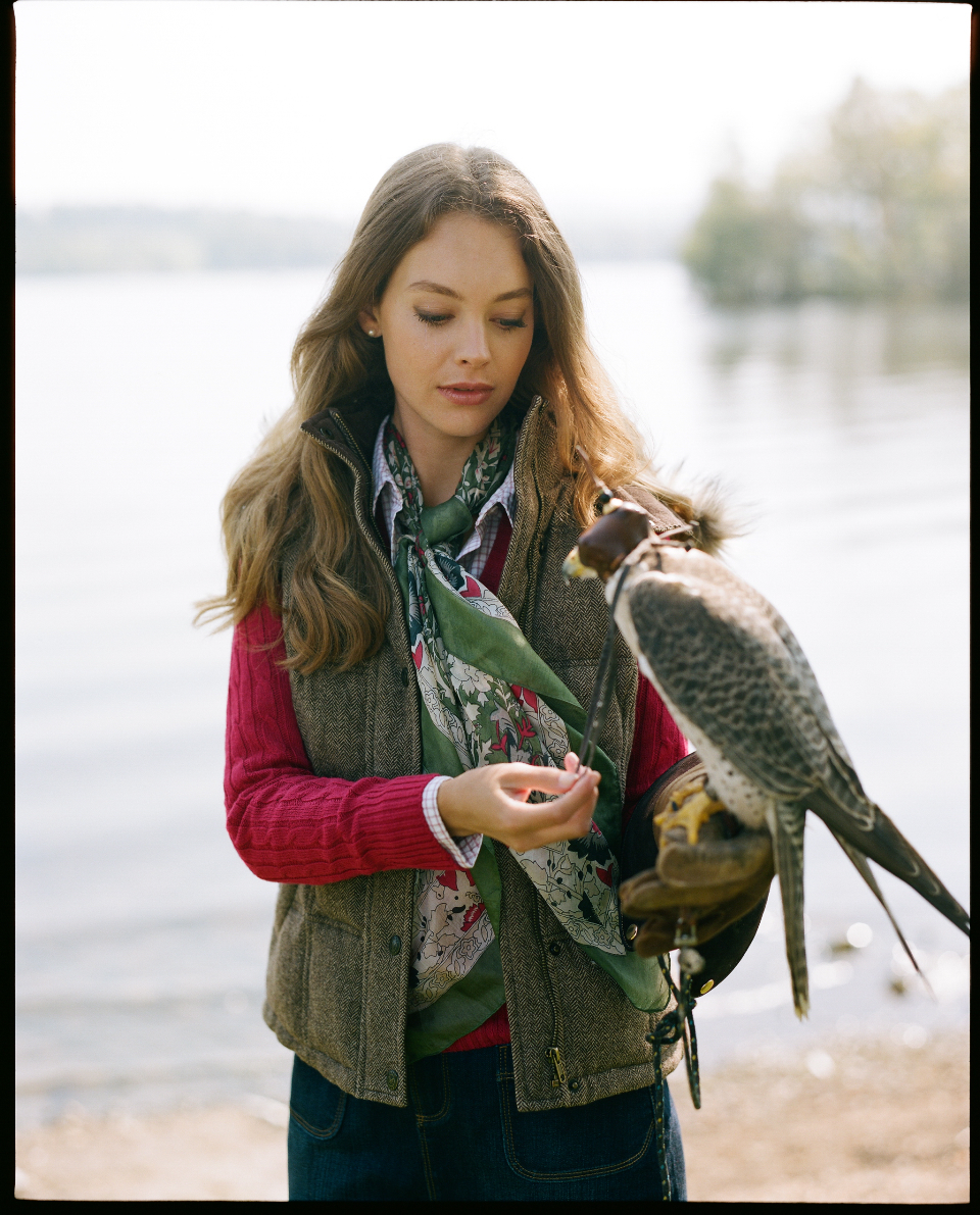 Strathblane Falconry News
