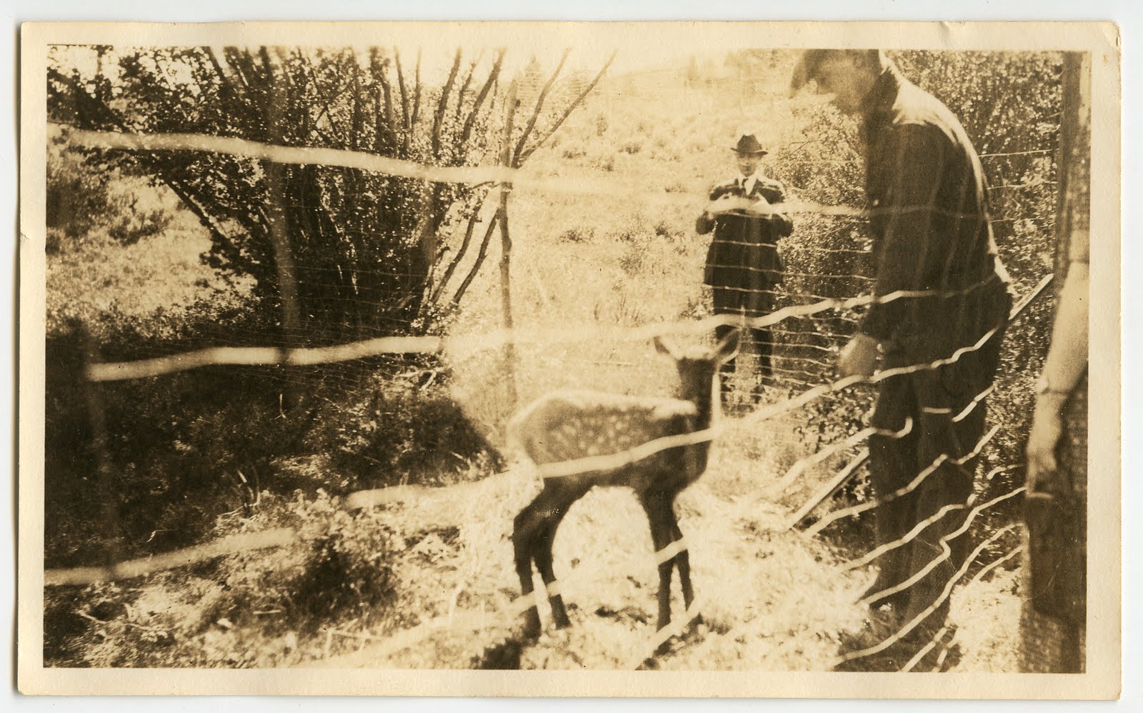 Something Between Want and Desire: Anonymous: Some of My Favorite Found ...