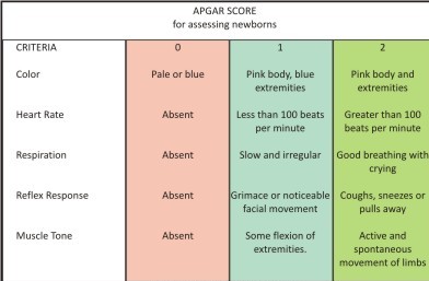 Pocket Medical Guide: APGAR Score