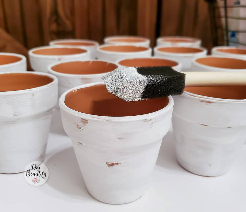 French Inspired Seedling Pots - DIY Beautify - Creating Beauty at Home