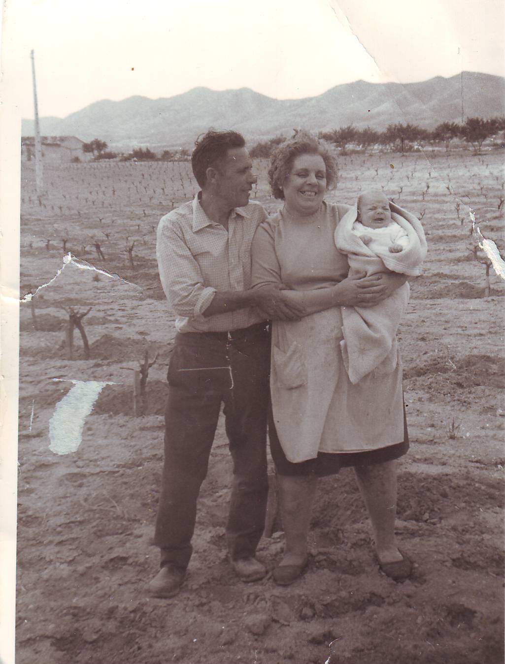 Història d’Aielo de Malferit: EL DAVANTAL DE LA MARE