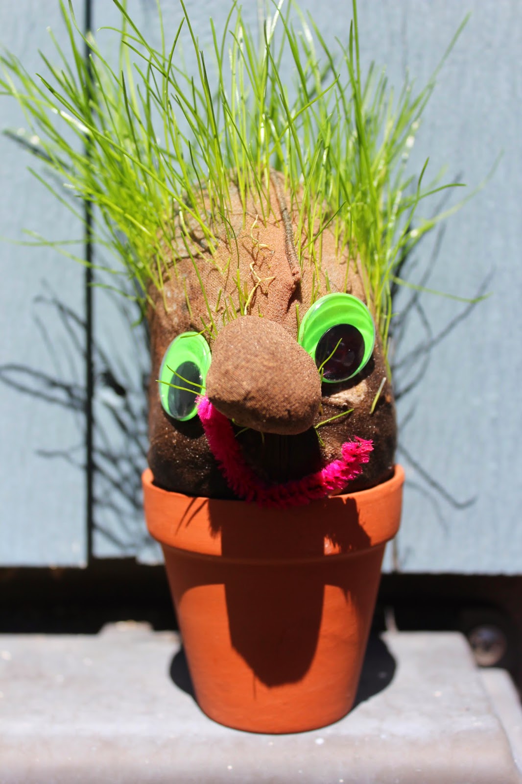 The Blue Barn: Goggly Eyed Grass Heads