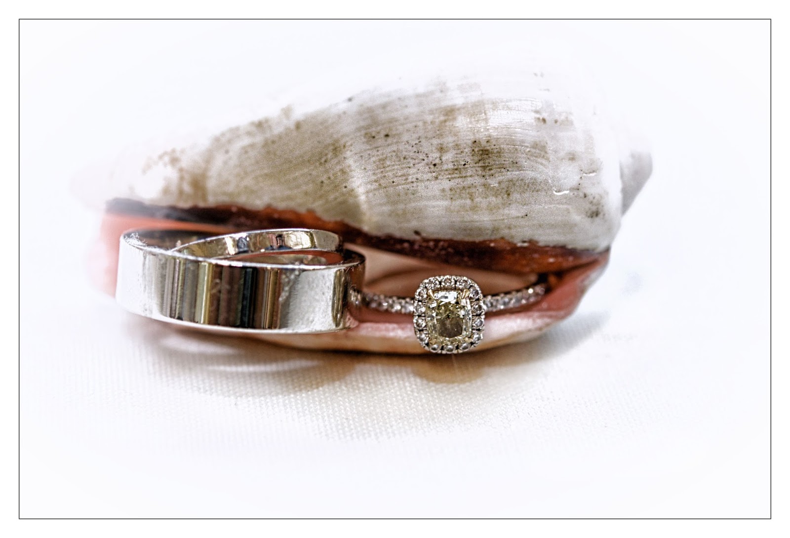 amanda anthony photographs