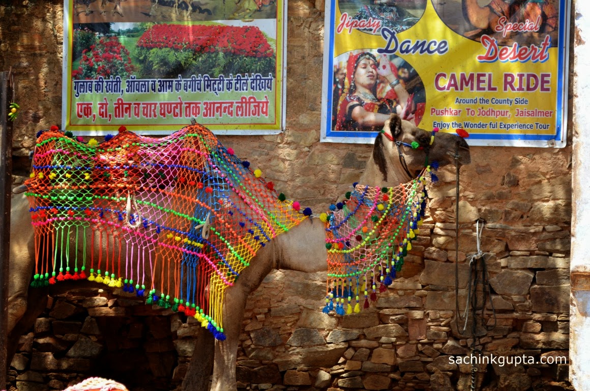 Tirth Raj Pushkar in Ajmer, Rajasthan ~ LENS (Like, Enjoy, Navigate, Share)