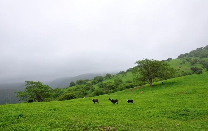 Salalah - Dhofar region in Sultanate of Oman: Dhalkut - Salalah ...