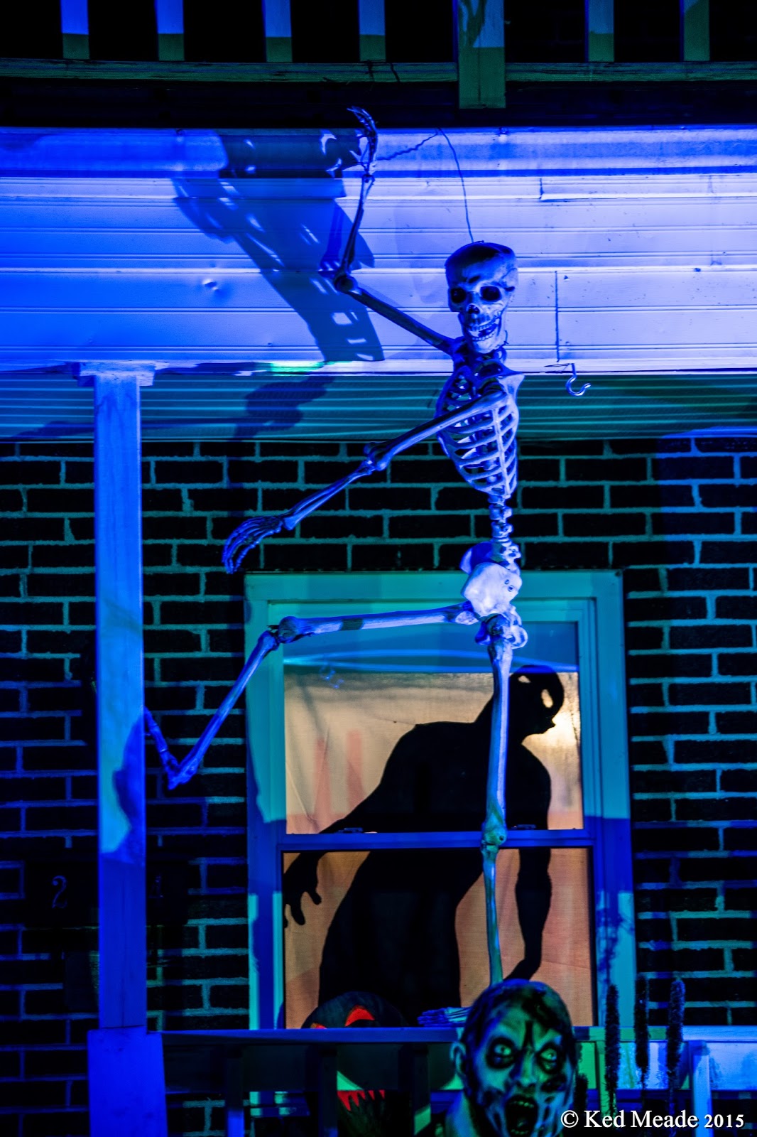 Something wicKED this way comes....: The Skeletons of Wicked Woods ...