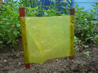 TRAMPAS AMARILLAS. Control Etológico