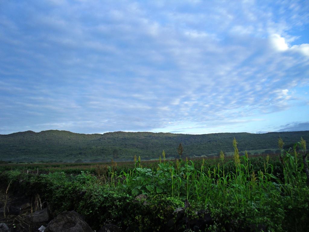 Jaime Ramos Méndez: Paisaje rural en las inmediaciones de Chavinda ...
