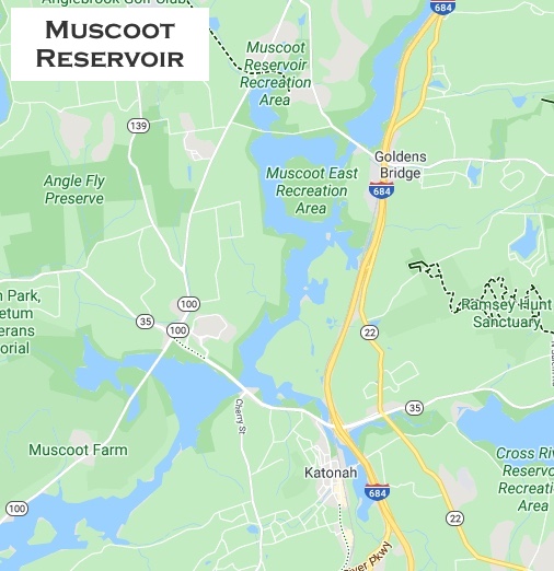 Infographics, Maps, Music and More: February 2020