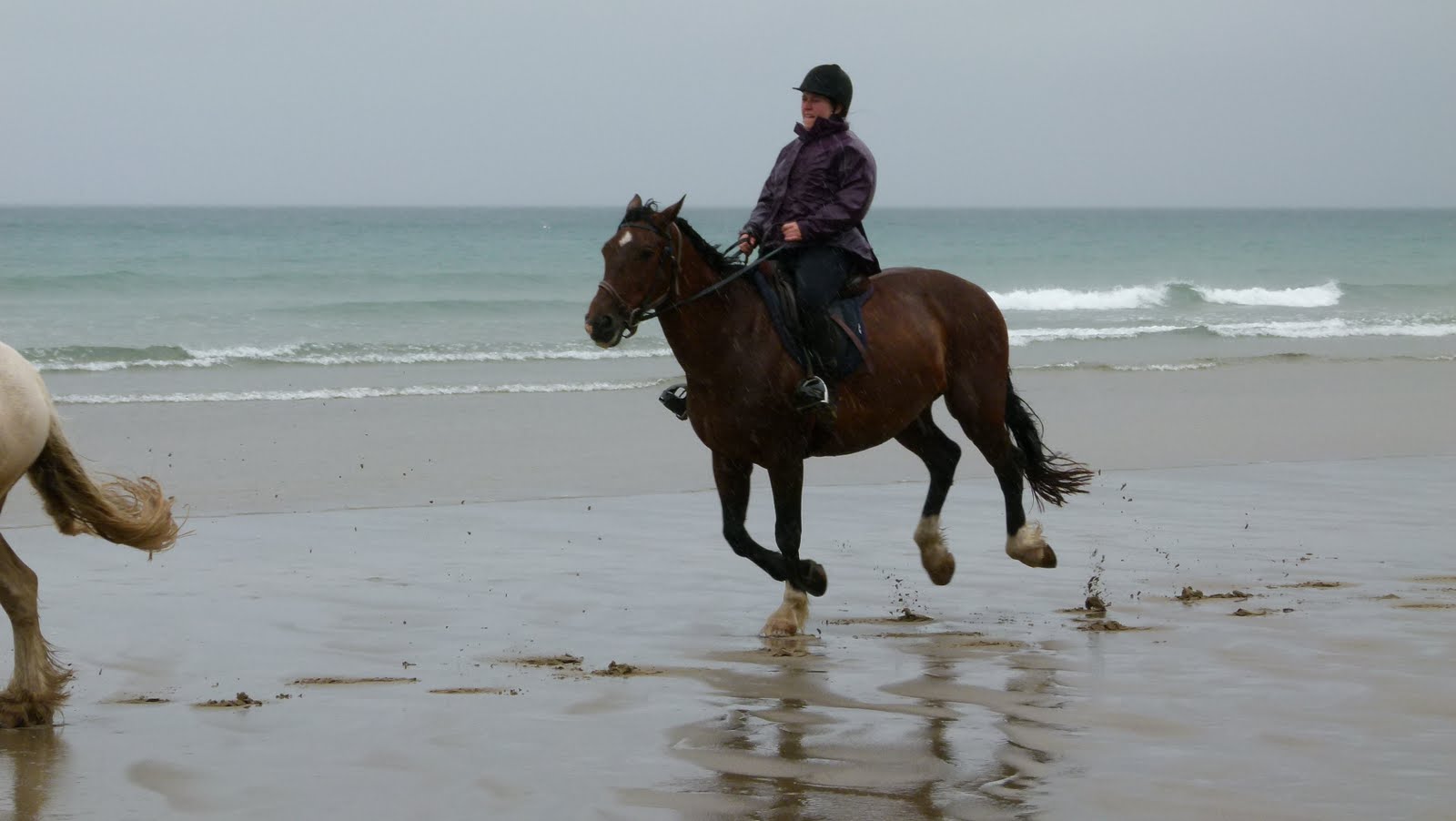 Learning to Horse Ride: Beach Riding