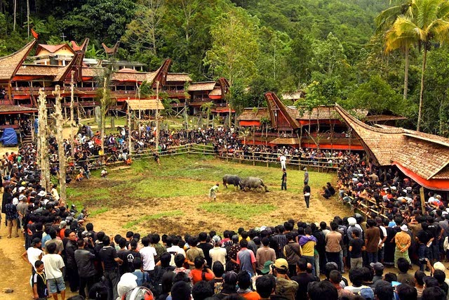 Rambu Solo: Ritual Pemakaman Orang Toraja - Toraja Tourism