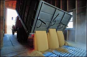 MEC&F Expert Engineers : HAZARDS IN GRAIN HANDLING FACILITIES
