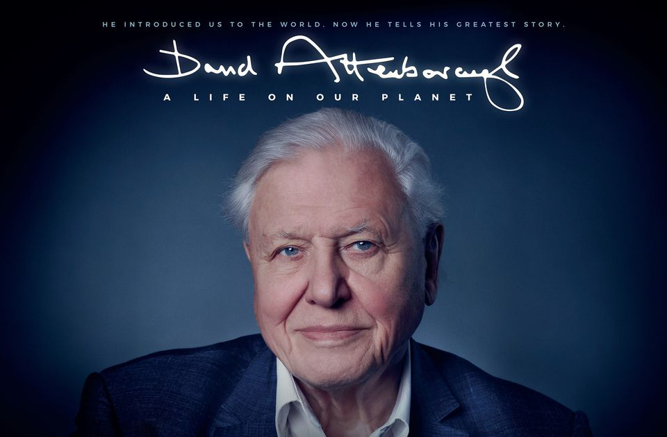 David Attenborough: A Life on Our Planet (2020) Documentary - Cosmos ...