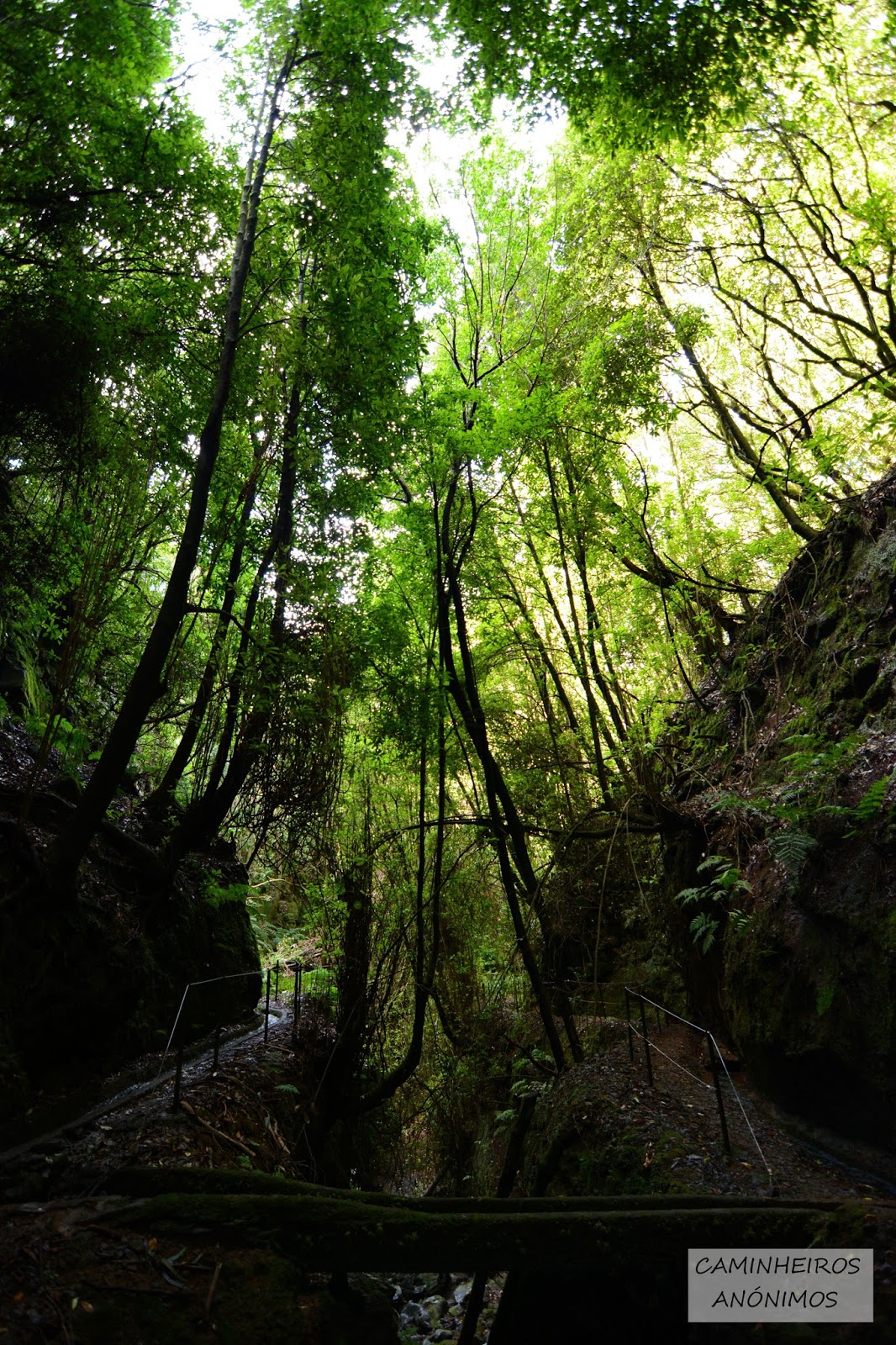 Caminheiros Anónimos Levadas da Madeira : Levada Grande (Achadas da Cruz)