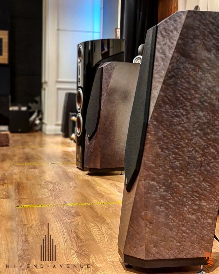 AVALON ACOUSTIC – M & S | Ultimate High-Fidelity