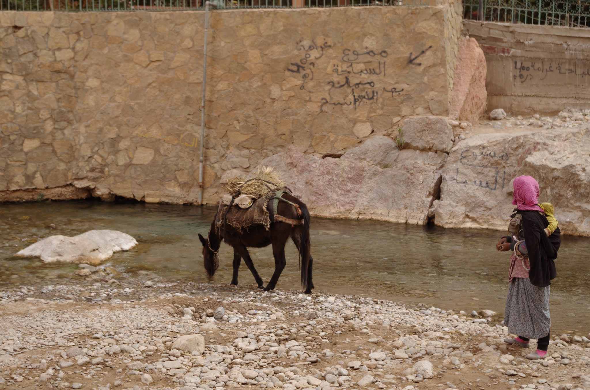 Las recetas de Manu: AL ANDALUS - TAFAYA BLANCA DE ALBÓNDIGAS (AL BUNDIGA)