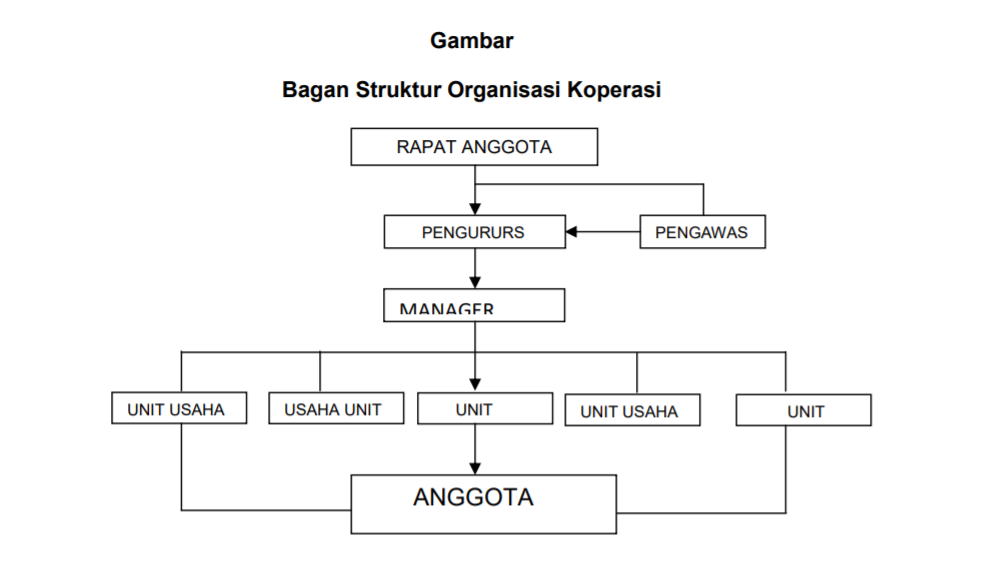 Koperasi Pengertian Jenis Fungsi Prinsip Modal Dan Struktur Organisasi ... Koperasi Pengertian Jenis Fungsi Prinsip Modal Dan Struktur Organisasi ...