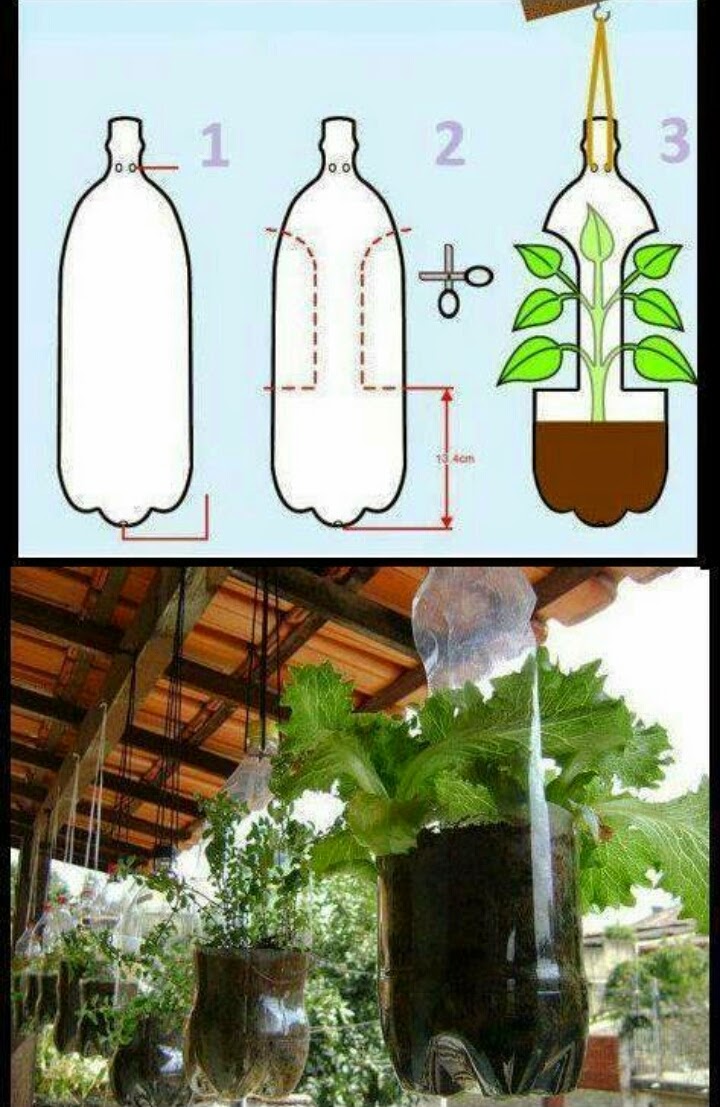 PUTRA GARDEN BALI: Ide Unik dan Kreatif Daur Ulang Pot dari Botol Bekas