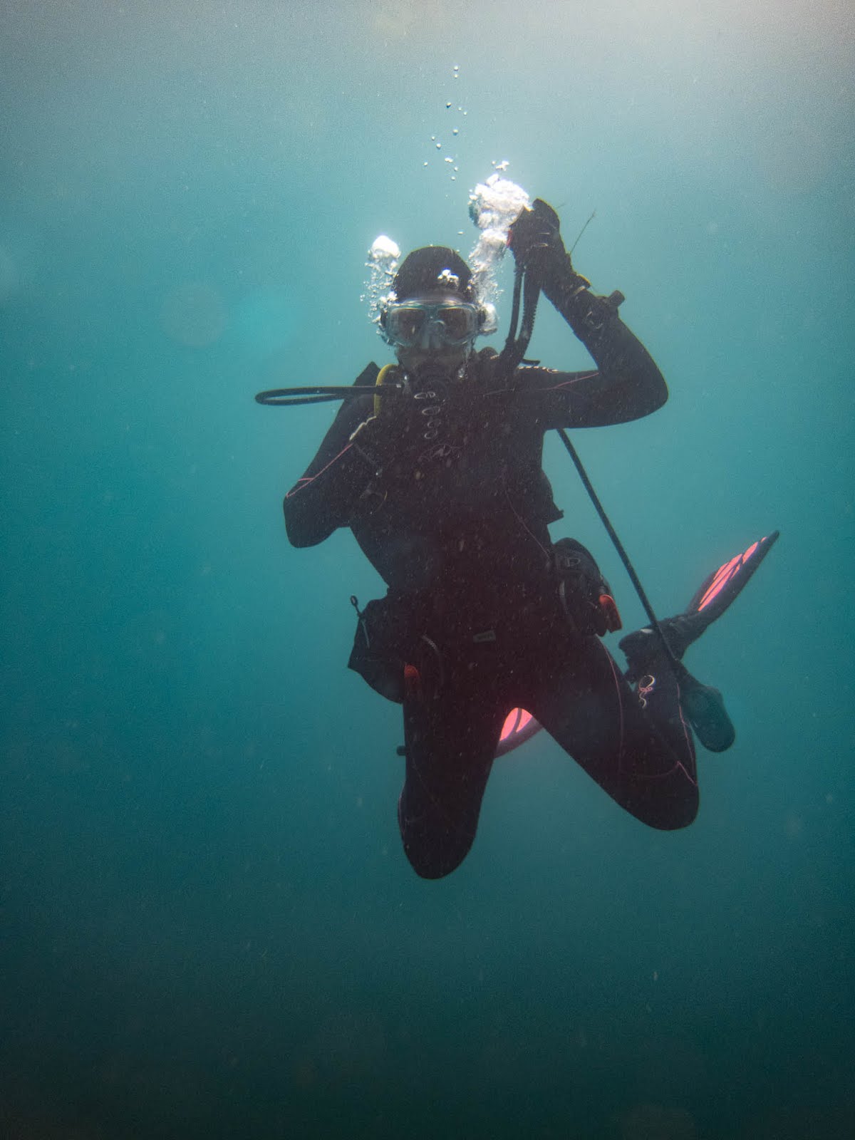 Diving Anacapa With The Raptor Dive Boat - First Church of The Masochist
