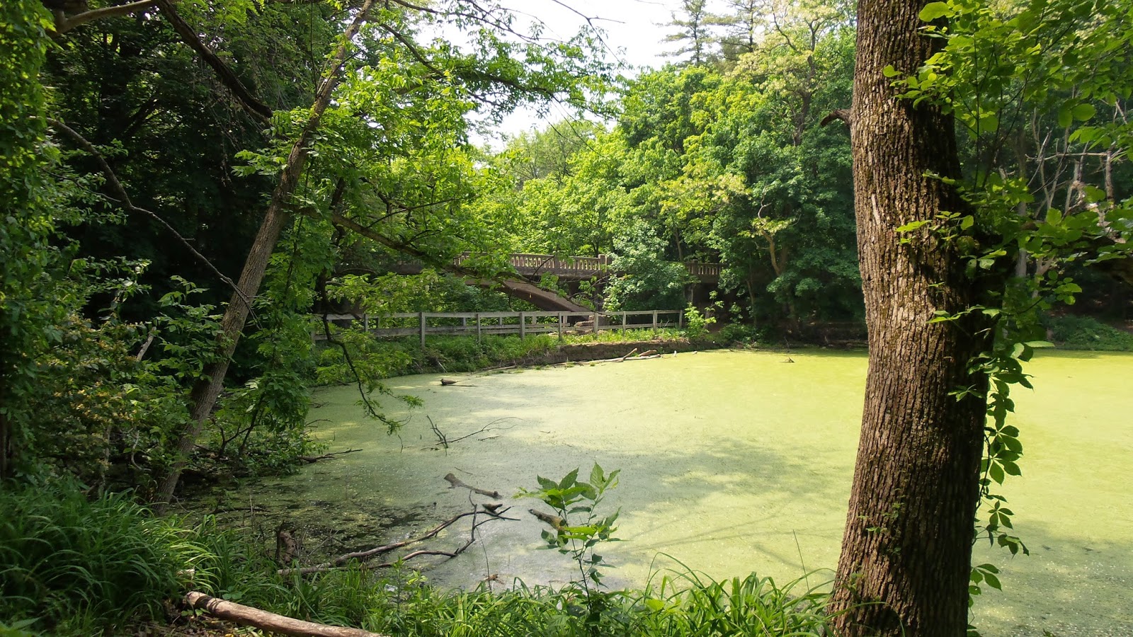Hike Starved Rock: May 29, 2014 Matthiessen Park
