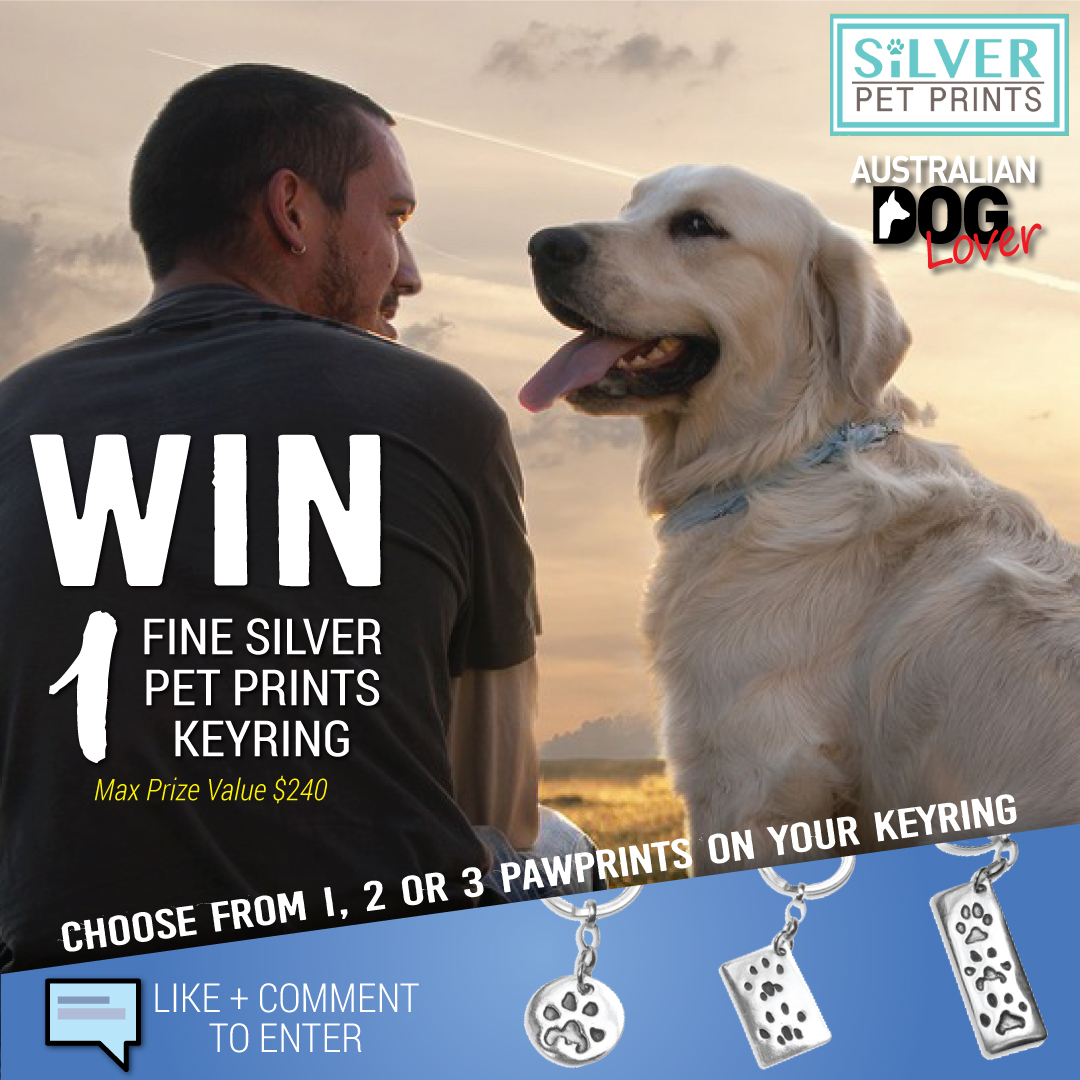 Silver Pet Prints Keyring Competition | Australian Dog Lover