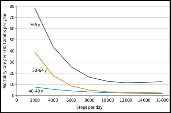 Retired--Now What?: Just Keep Walking