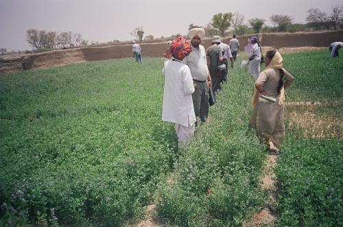 लापोड़िया गांव से हमें सीखना चाहिए जिससे आज इज़रायल भी सीखता है, चौका ...