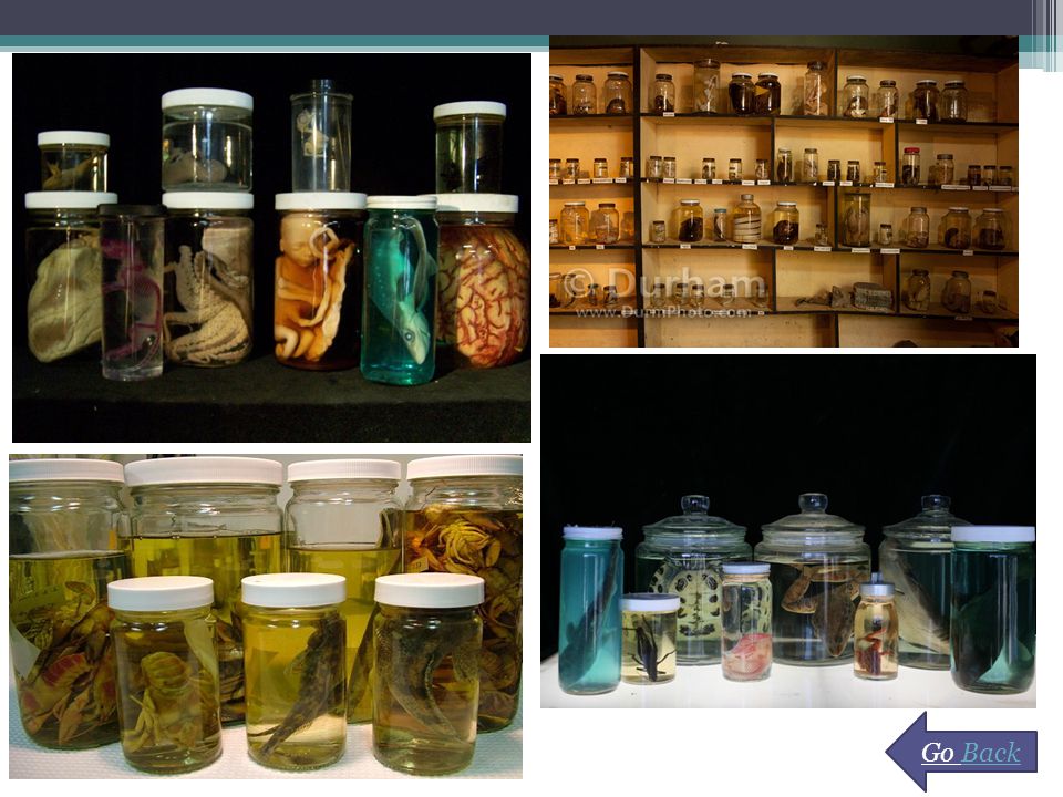 Educational Technology 1: Lesson 8: Contrived Experience