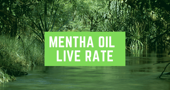 Live Mentha Oil rate today | Mentha Oil MCX rate in India